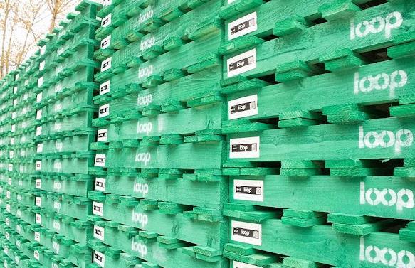 Timber pallet manufacturer CJ Sheeran has partnered with The Pallet ...