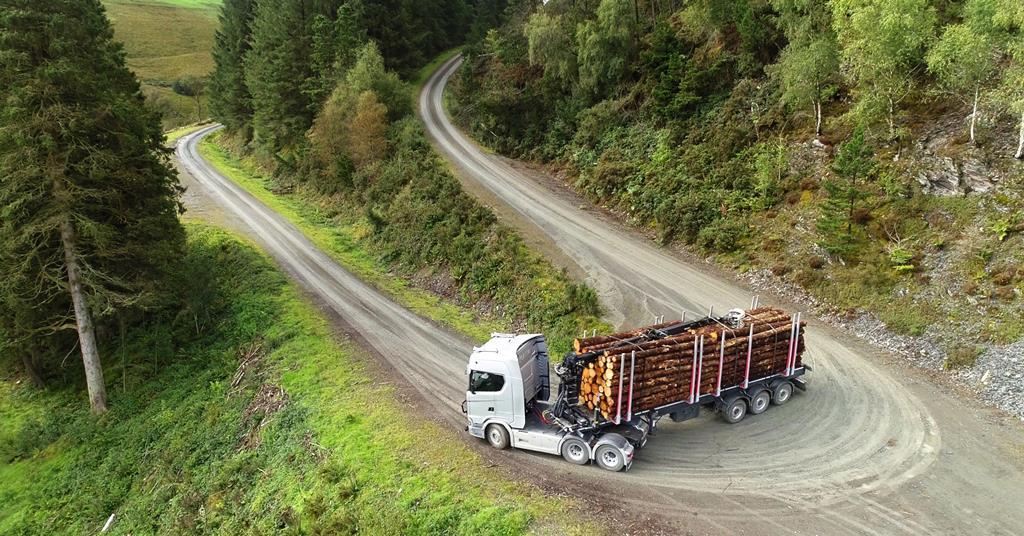 Funding for new projects designed to reduce the impact of timber ...