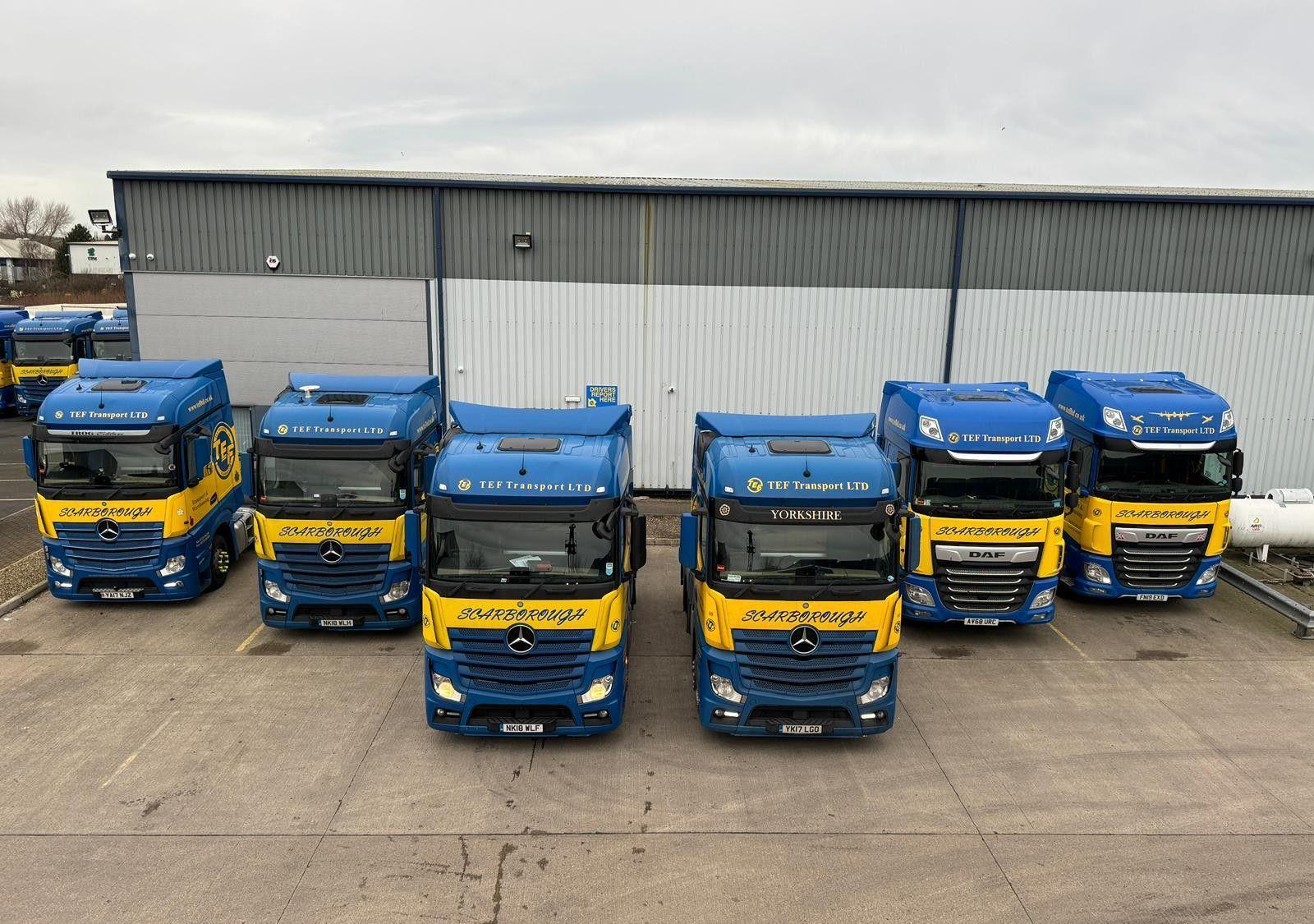 Assets of collapsed Scarborough haulier TEF Transport up for auction ...